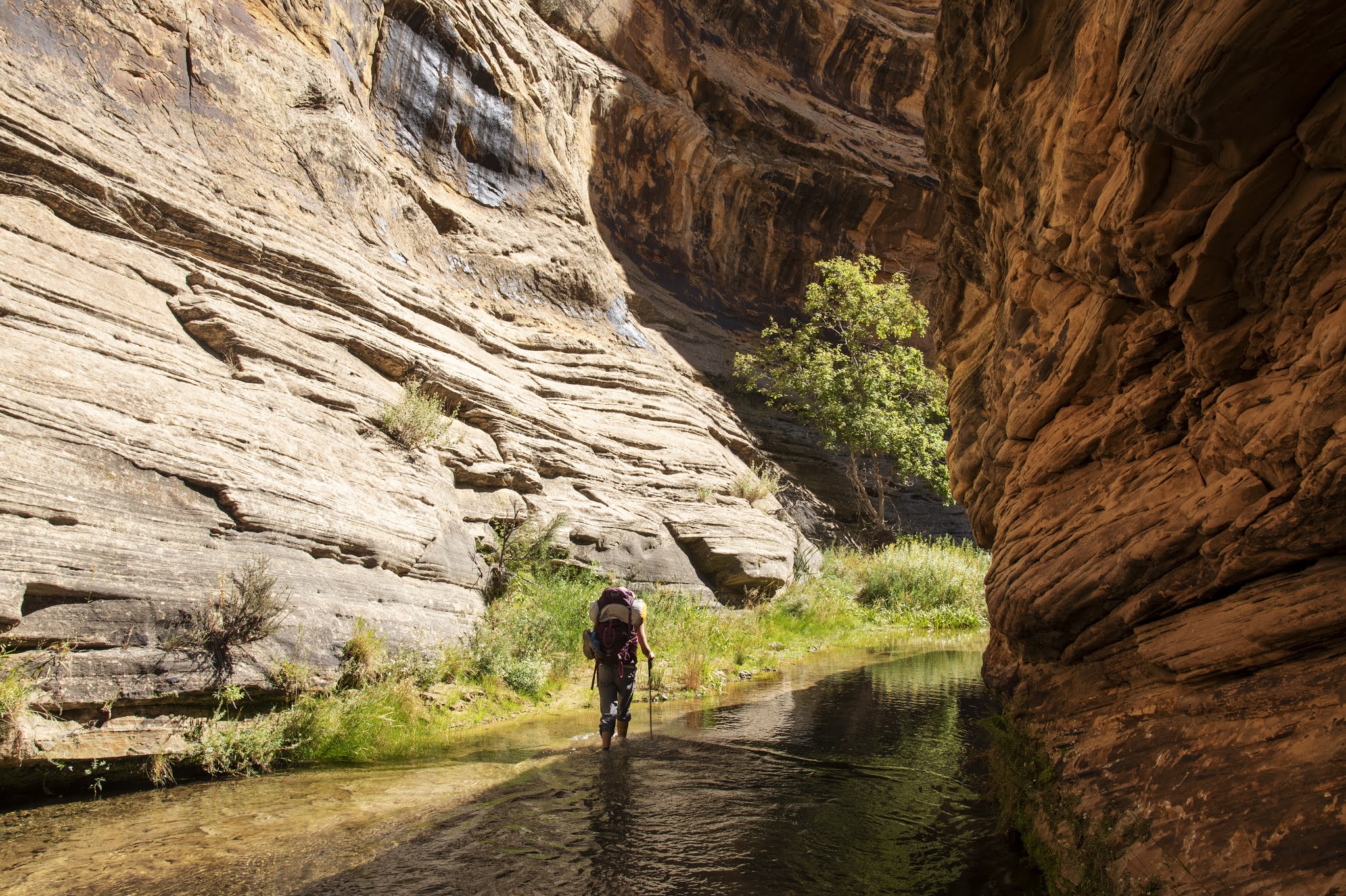 BOX DEATH HOLLOW. ESCALANTE, UTAH - ADAM HAYDOCK