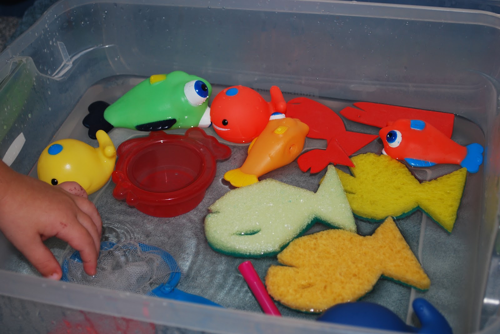 Fish Sensory Box