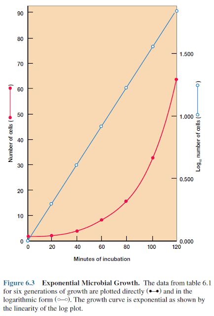 Microbiology Notes: Microbial Growth : Bacterial Growth Curve