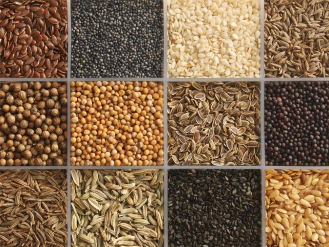 Claves de Salud: Una semilla es la vida. Es un alimento vivo.