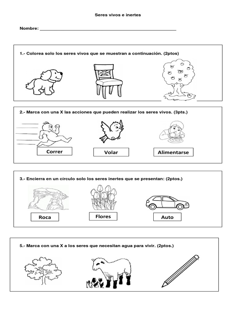 La huella del saber: ¿Que sabes de los seres vivos y no vivos?