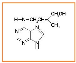 SOAL BIOLOGI PERTUMBUHAN DAN PERKEMBANGAN KELAS XII IPA - Biology Page