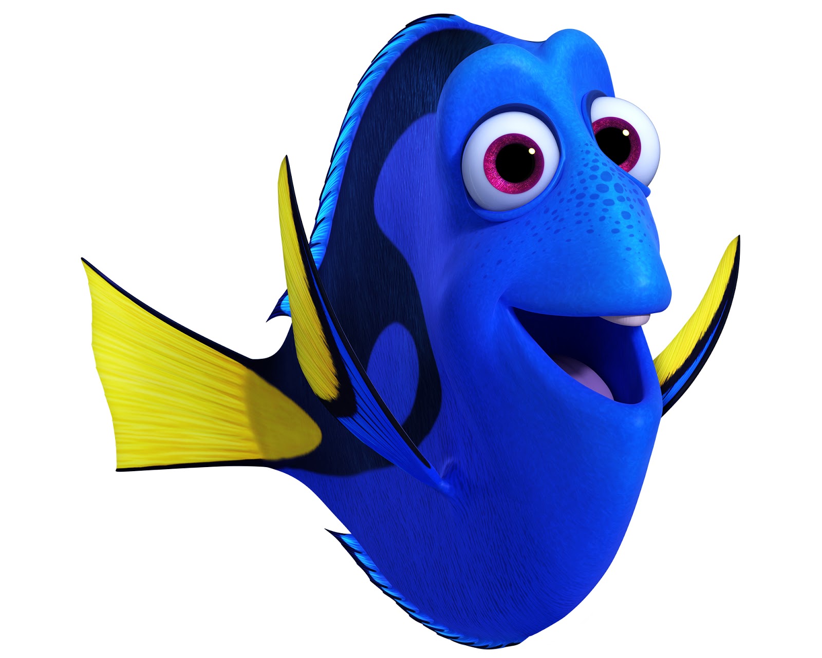 My Sweet Cinéma: Le Monde de Dory