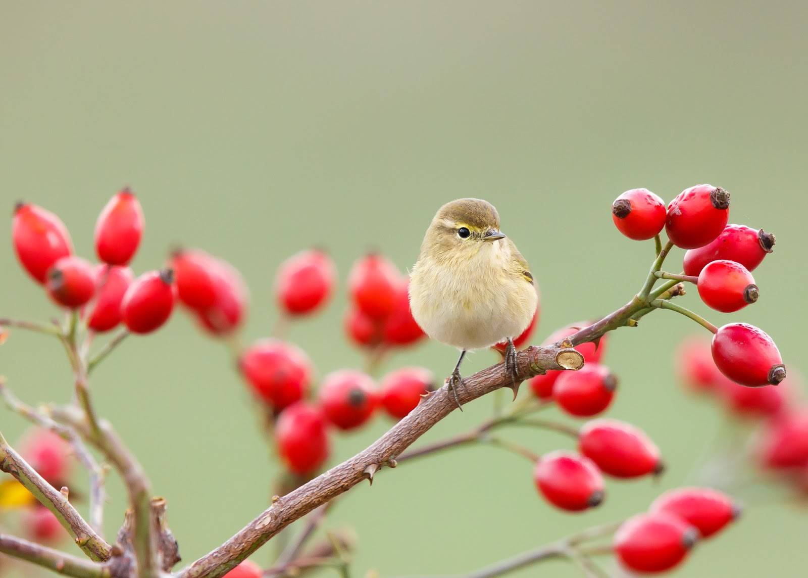 Nikos Fokas Photopraphy Blog