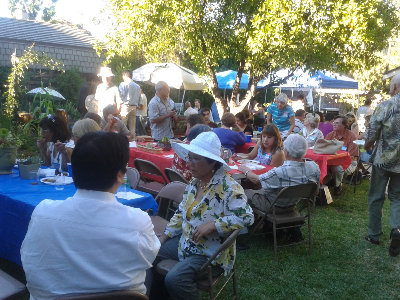 Ann Erdman: Garden Party