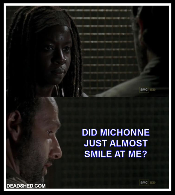 Walking Dead Michonne Meme
