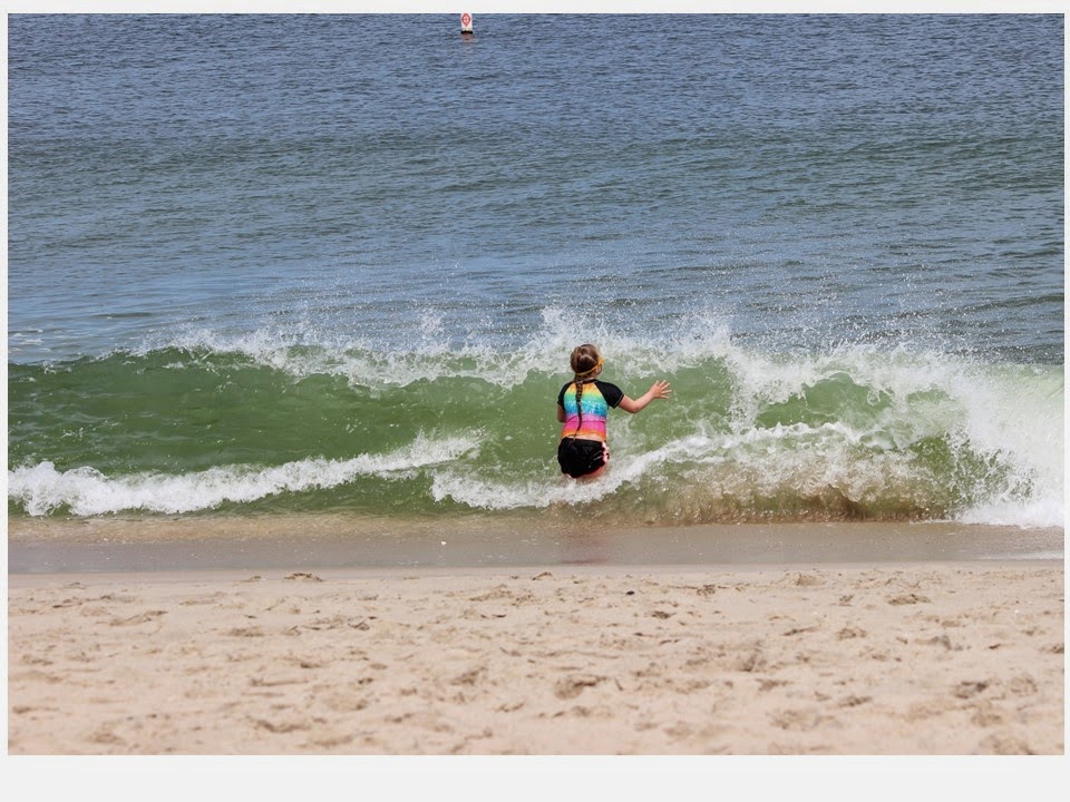 Dottie's Homeschool Universe: Sandy Hook - History, Science AND Phys Ed