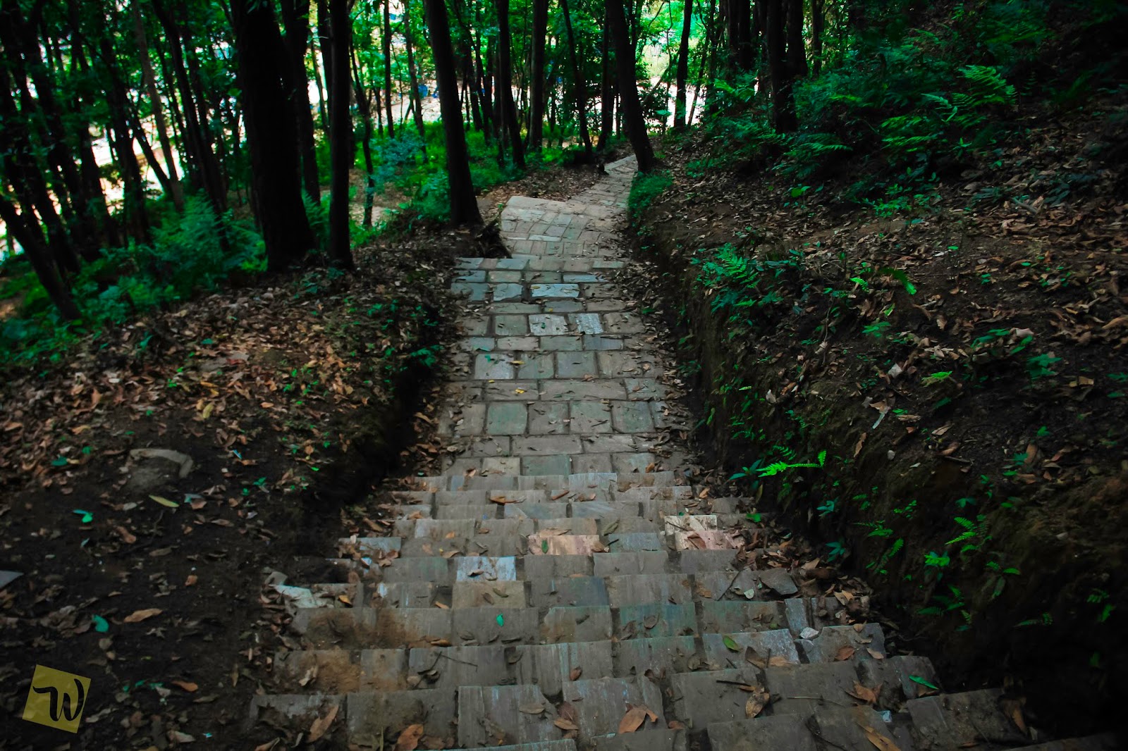 Hiking to Jamacho - Wondervibes