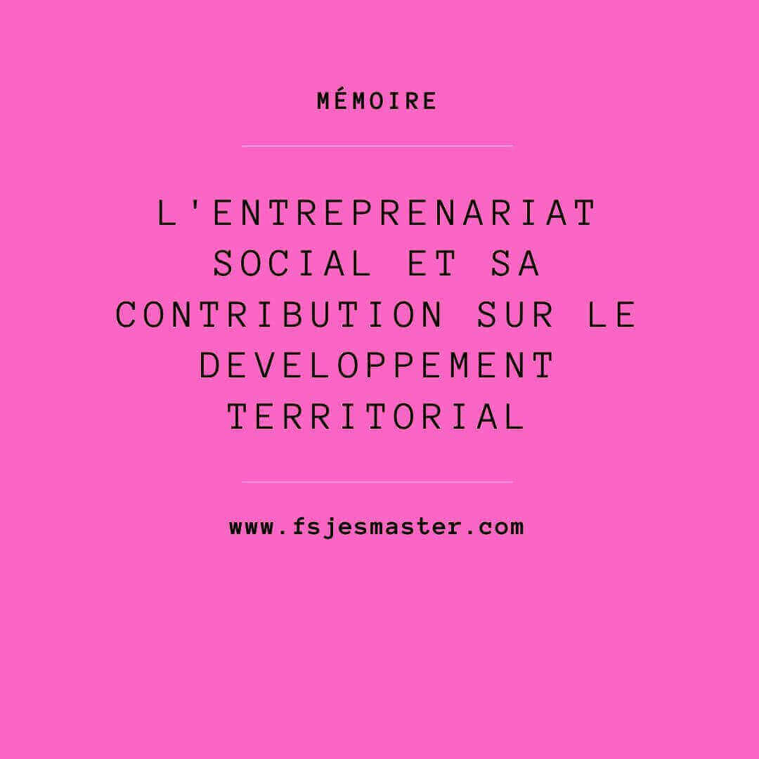 Mémoire: l'Entreprenariat Social et sa Contribution sur le ...
