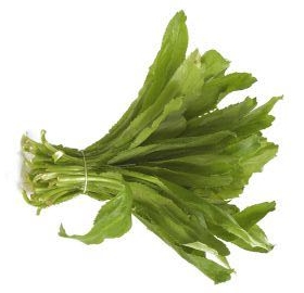 Diferencia entre Cilantro y Culantro | actualidad-24.com