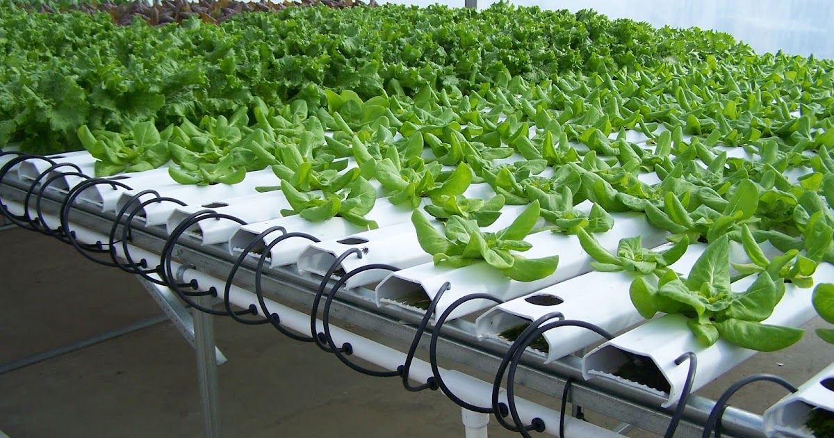 Smart Hydroponic(Aquaponics) Monitoring & Controlling System,Components ...
