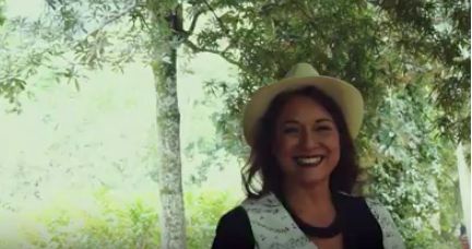 Domingo com Música II. Por causa de Você, Tom. Com Malu Rocha