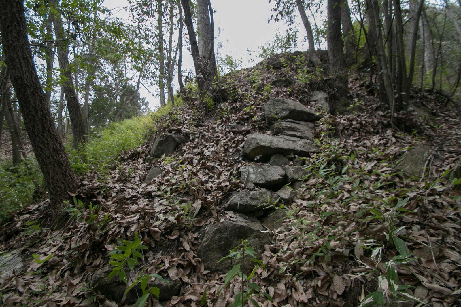 Niitakayama Castle -Intellectual pillar of Mouri clan (2)- | Japan ...