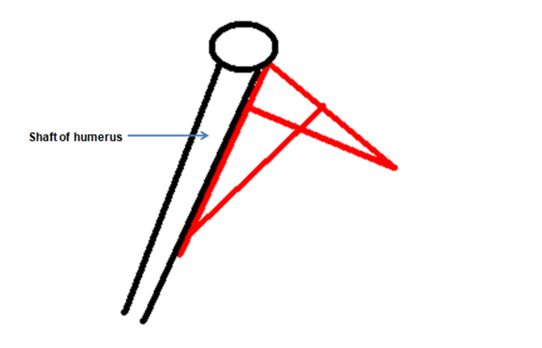 easyhumanatomy: Intramuscular spaces in scapular region/ axillary ...