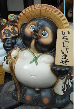 Hokkaido Kudasai: What is a Tanuki?