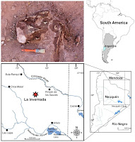 Species New to Science: [Paleontology • 2021] Llukalkan aliocranianus ...