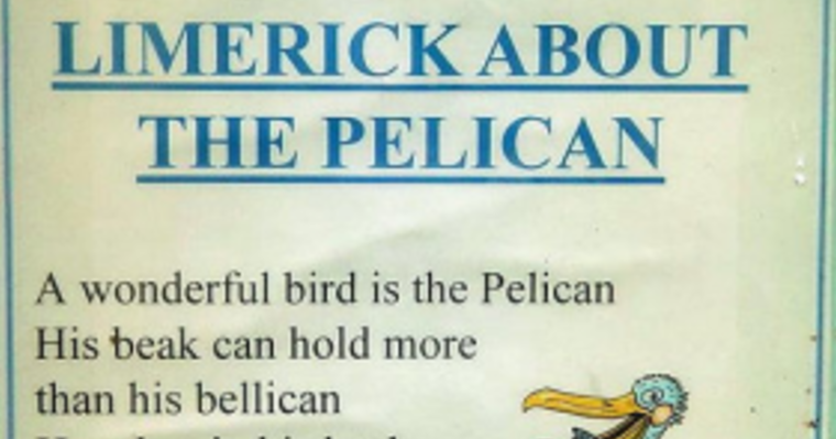 Murder is Everywhere: Limericks for Mental Health