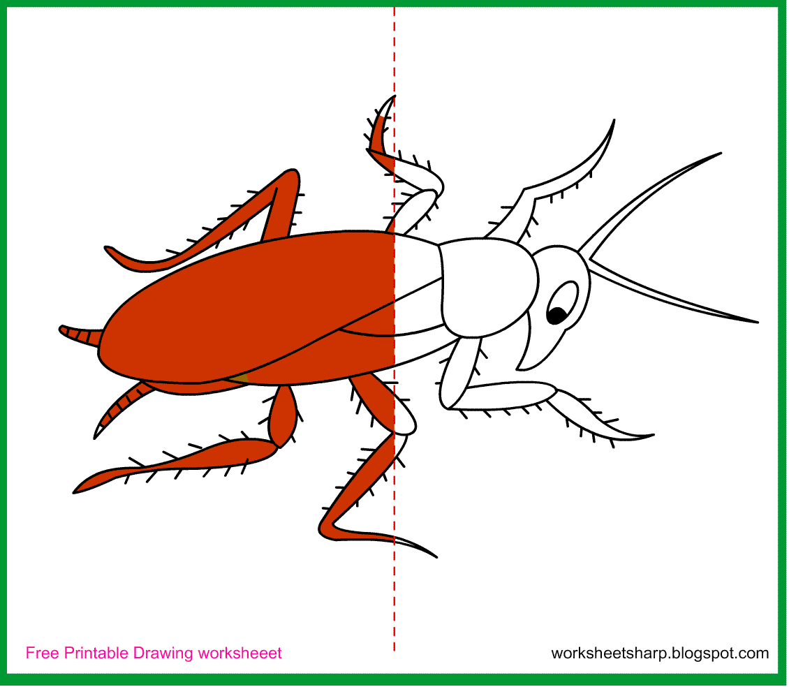 Free Drawing worksheets Printable: Cockroach Drawing worksheets