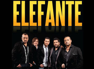 ELEFANTE: ELEFANTE