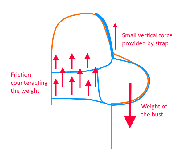 The Physics of a Supportive Bra Explained