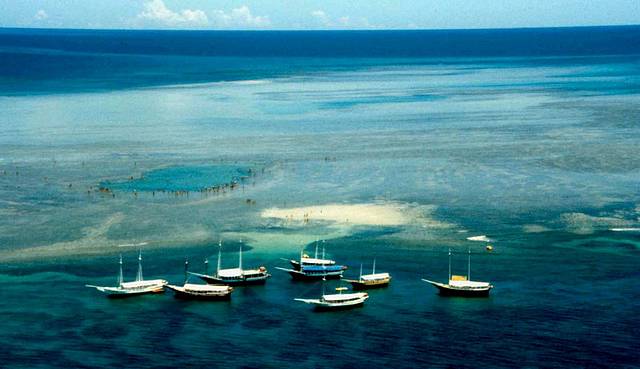 Brasil da cor do mar: Recife de Fora- Um passeio inesquecível