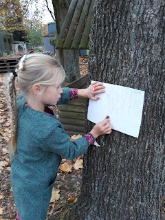 Leefgroep III: Project bomen: schors tekenen