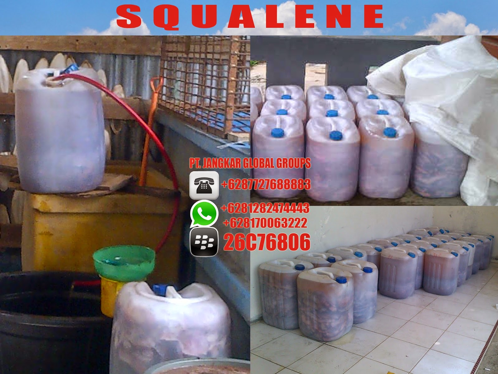 Jangkar Groups: PABRIK MINYAK HATI IKAN HIU BOTOL SQUALENE