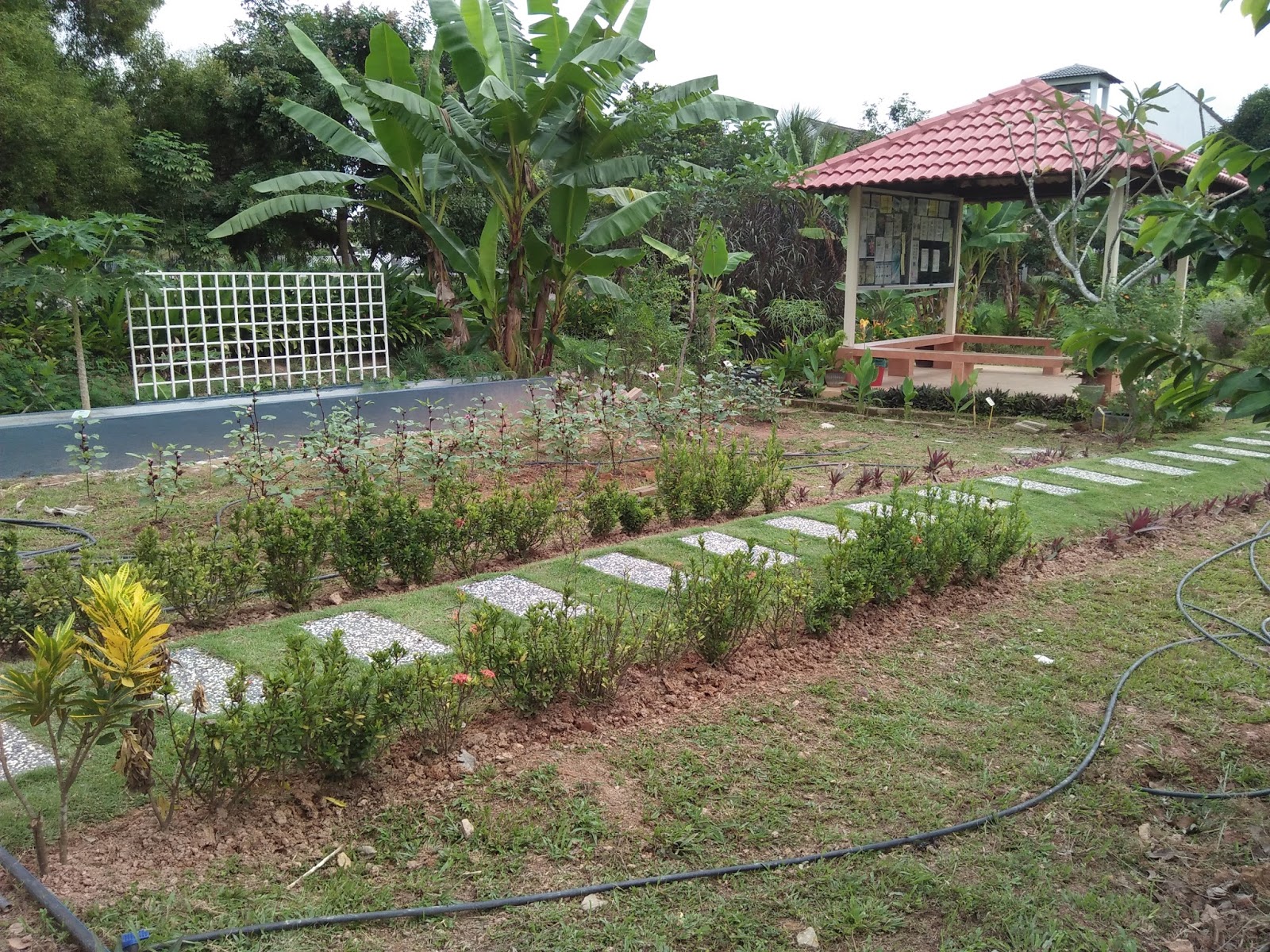 Fuziah Sulaiman blog: Jom kenali flora ROSEL di Laman 1A : Laman ROSEL ...