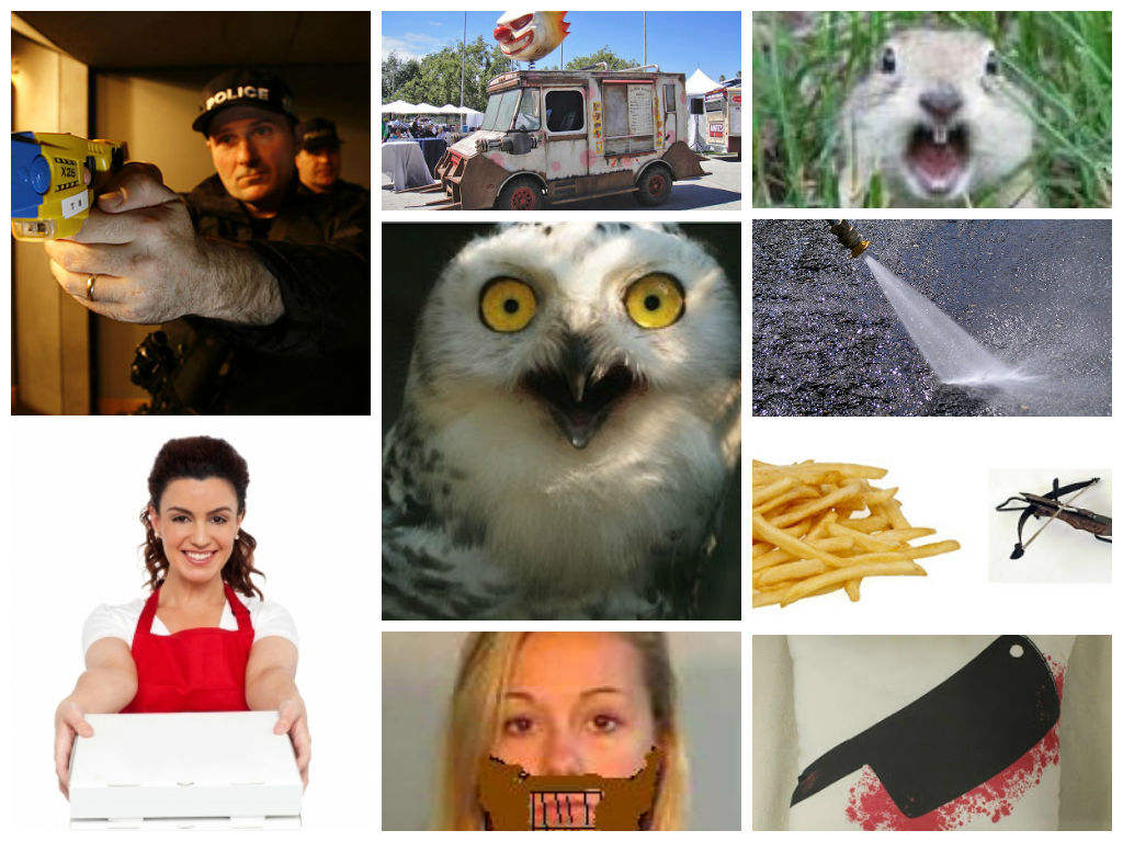 Top 10 Weird Crime Stories of 2013