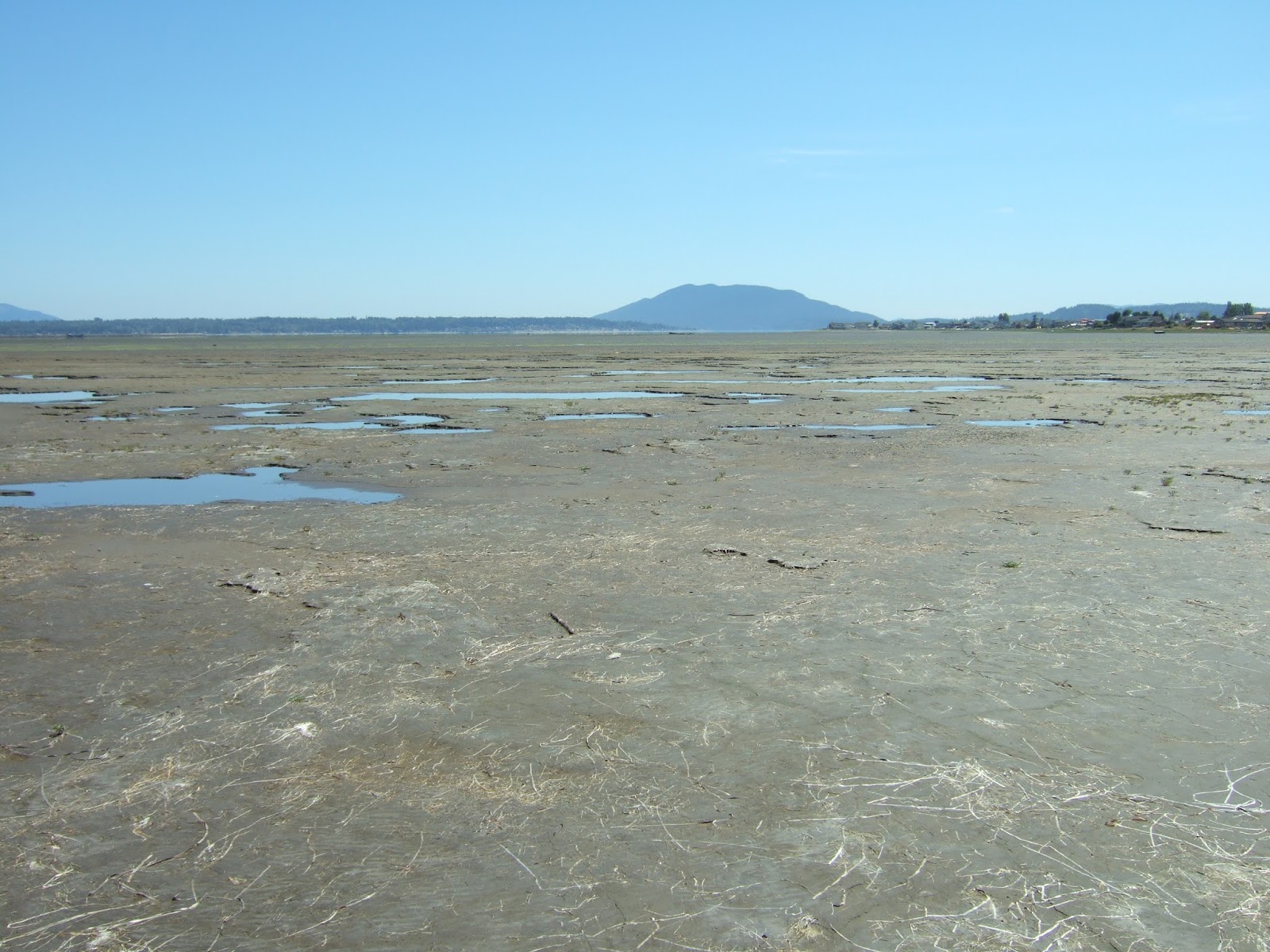 Reading the Washington Landscape: Lummi Tidelands