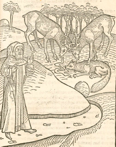 Tiny Tales: Traditional Stories in 100 Words: 16. The Jackal and the Rams