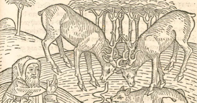 Tiny Tales: Traditional Stories in 100 Words: 16. The Jackal and the Rams