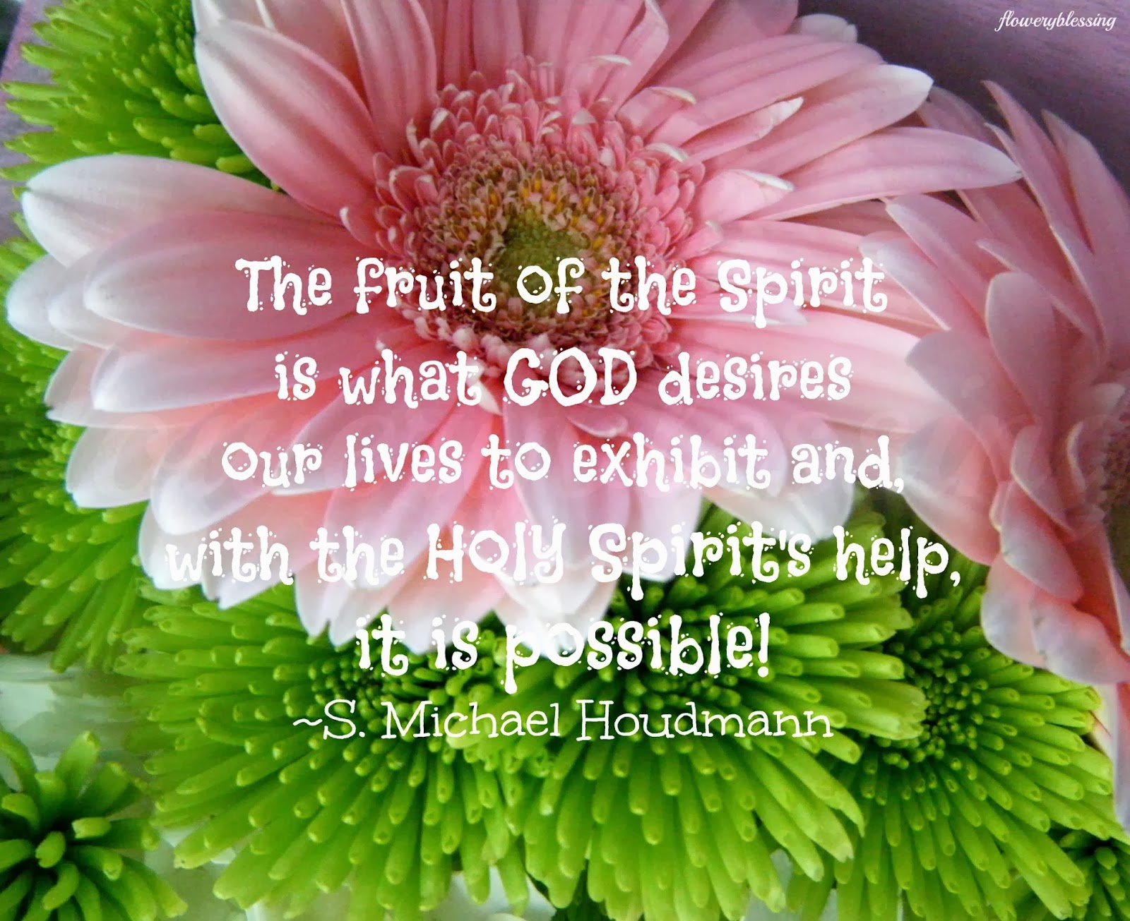 Flowery Blessing: The fruit of the Spirit is what GOD desires our lives ...