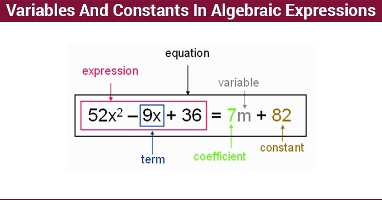 Variables and Constants in Programming Languages.