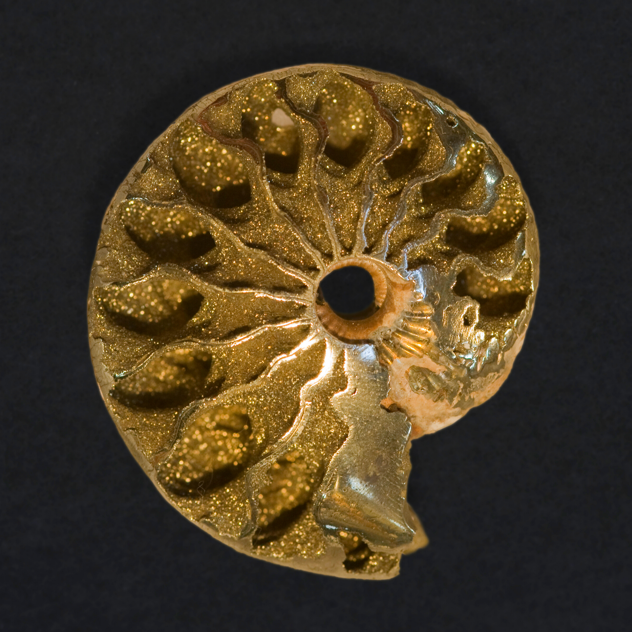 FOSSIL HUNTRESS: PYRITE PRESERVATION