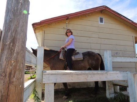 Teena in Toronto: Horseback riding at Broadleaf Ranch, NB