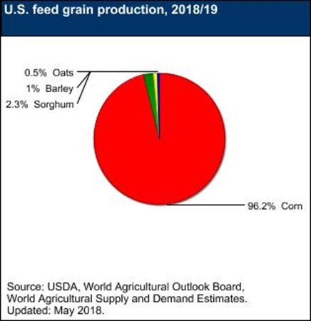 All About Corn in Graphs | Big Picture Agriculture