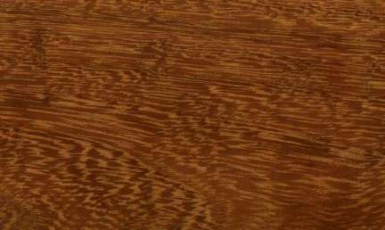 The Wooden Dimensions: Know your wood: Iroko