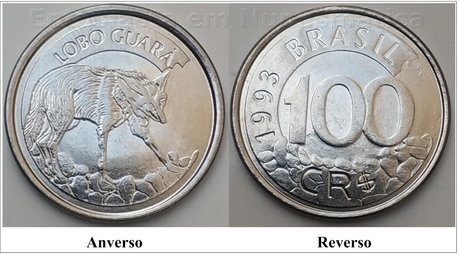 Entusiasta em Numismática: Moedas do Plano Monetário Cruzeiro Real CR ...