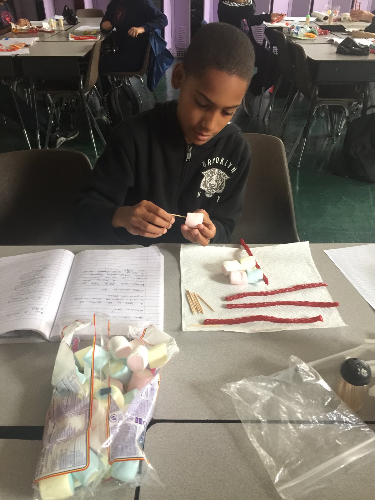 Mrs. Ramsey Blog - Where Science and Technology come ALIVE!