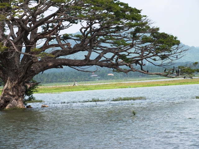 Images of Sri Lanka on blogspot.com: Tissa Wewa, Tissa, Sri Lanka.