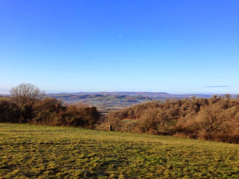 Usk Chirps: Springdale Farm Nature Reserve