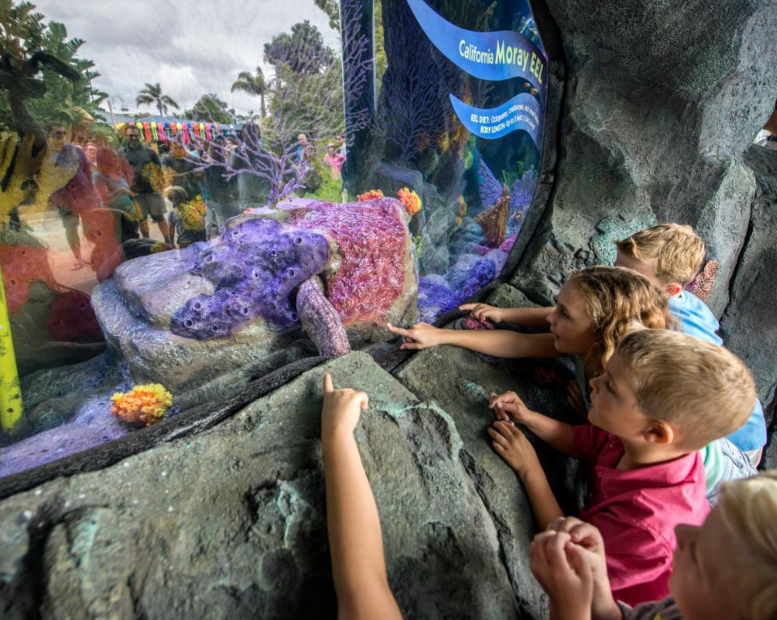 NewsPlusNotes: SeaWorld San Diego Opens New Ocean Explorer Themed Area ...