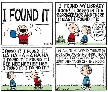 Book Chase: Charlie Brown's Lost Library Book