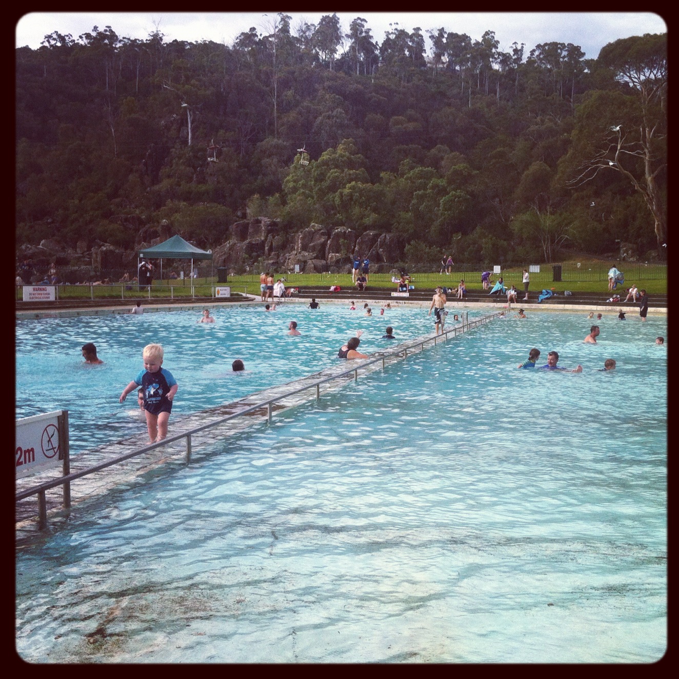 The Kings: Evening Swim