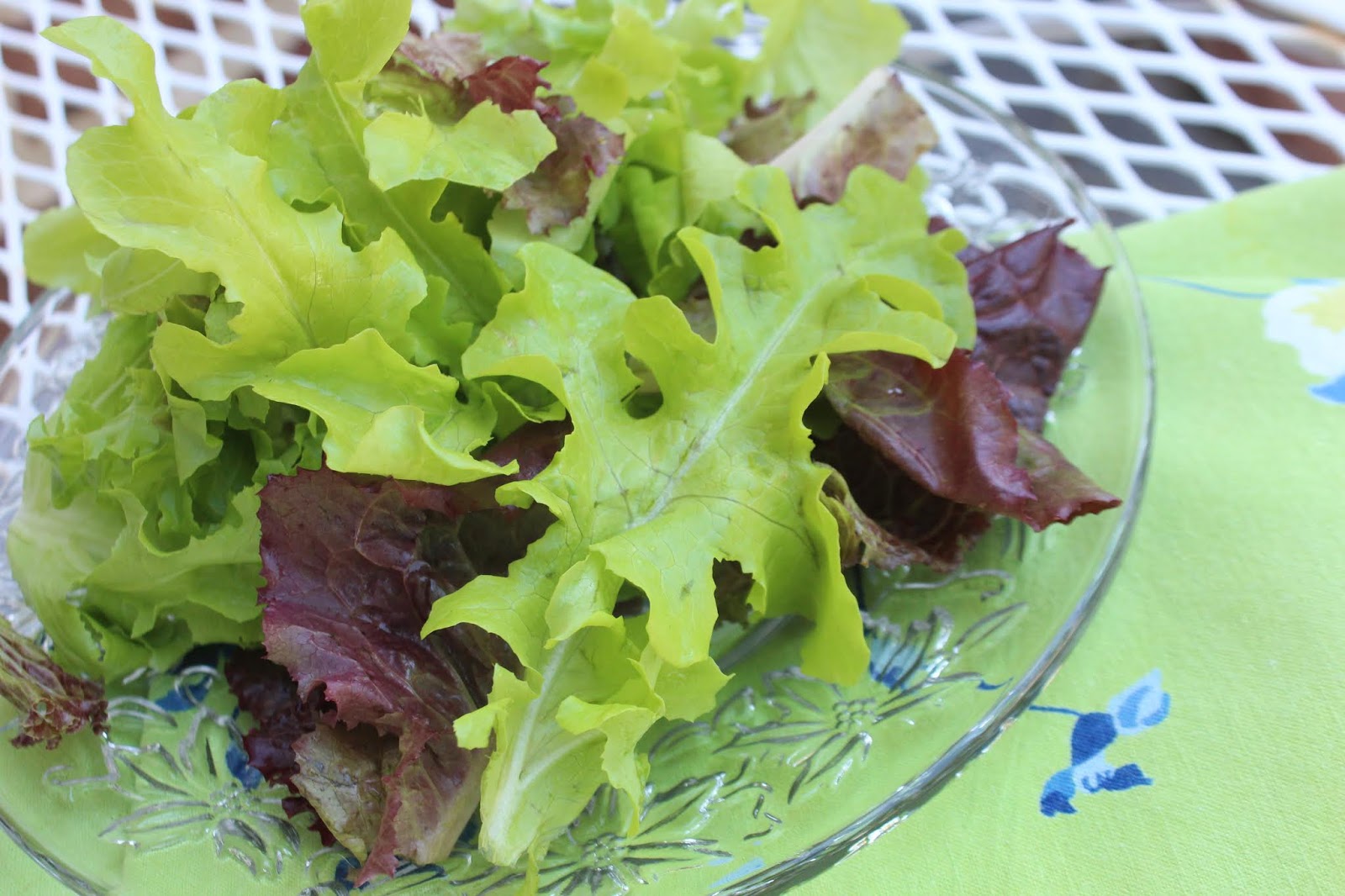 SPRING GREENS - GARDEN INSPIRATION | Suzanne MacCrone Rogers • Italian ...