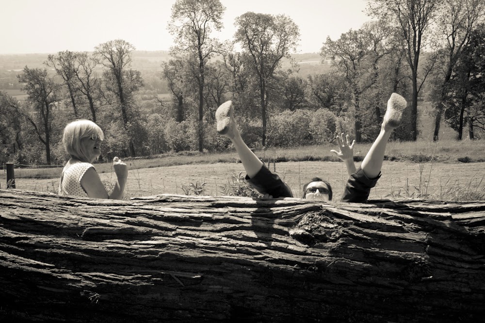 Blog of Wood: Easy as Falling Off a Blog