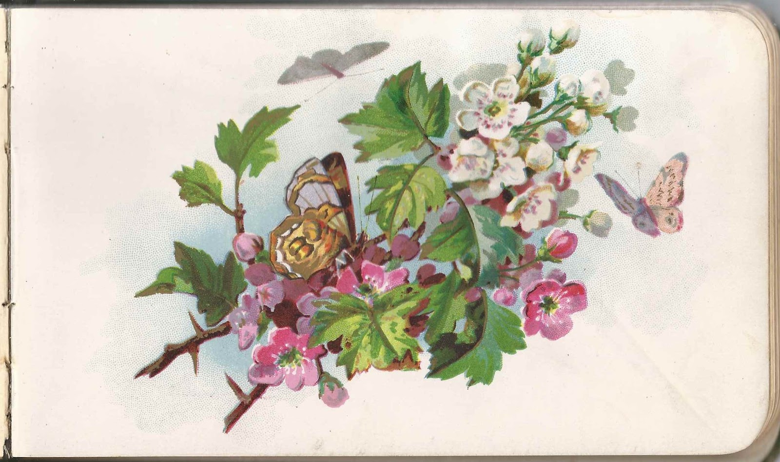 Heirlooms Reunited: 1880s Autograph Album of Alice Thorne, kept while ...