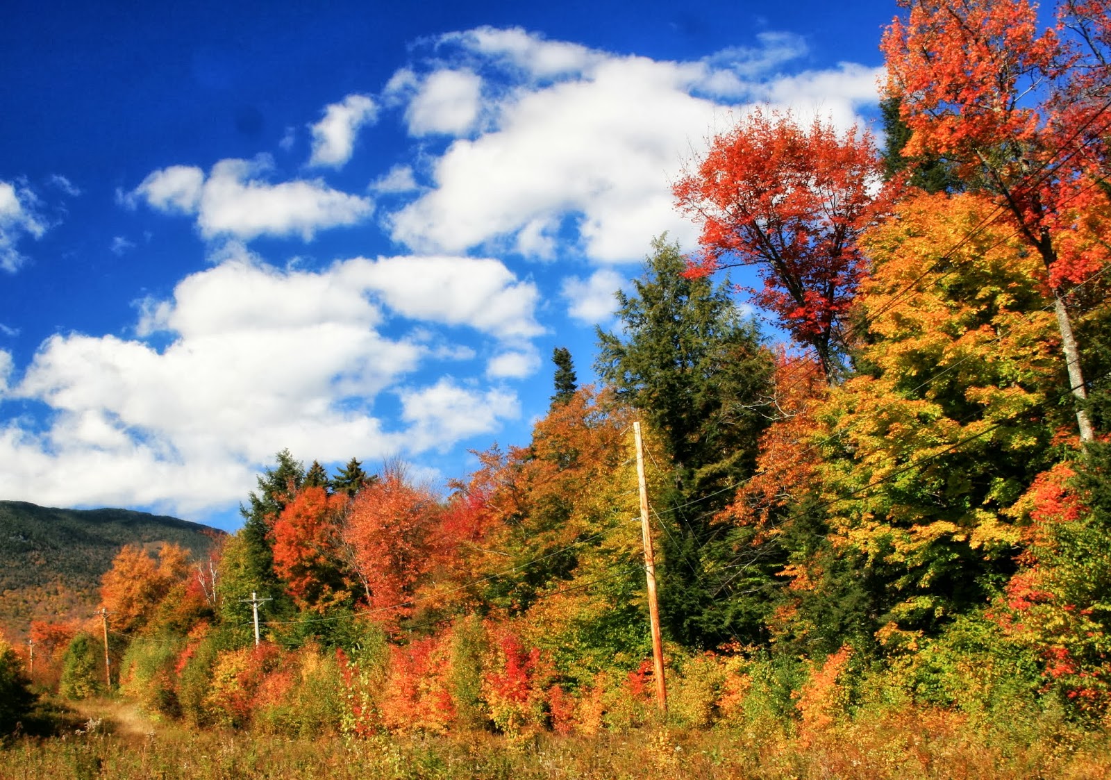 Stillhowlyntravels: Leaf Peeping...Vermont