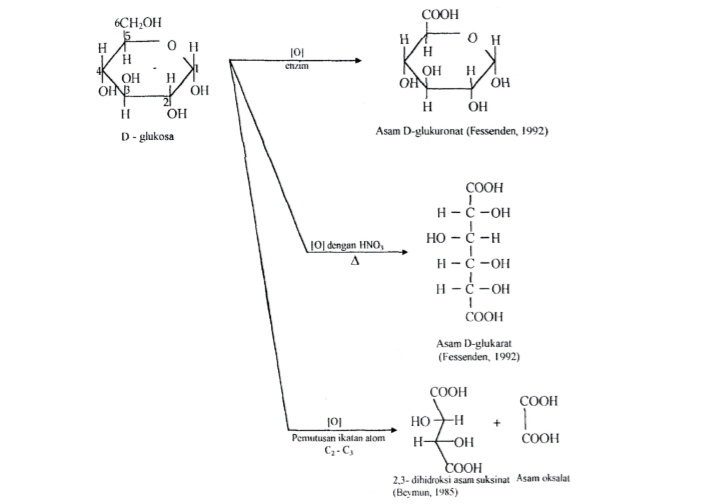 Mekanisme Reaksi Oksidasi pada Senyawa Organik